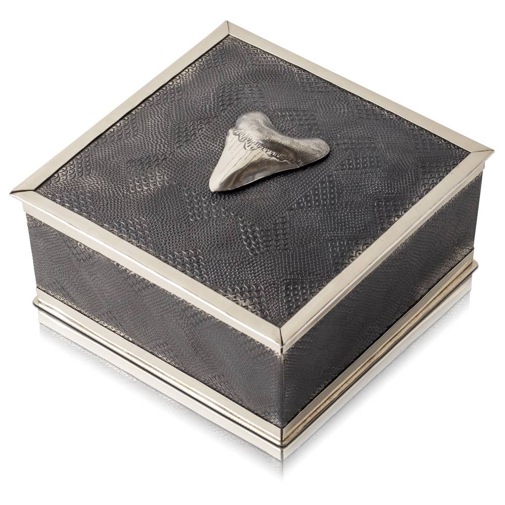 Megalodon Shark Tooth Keepsake Box – Gogo Inc.